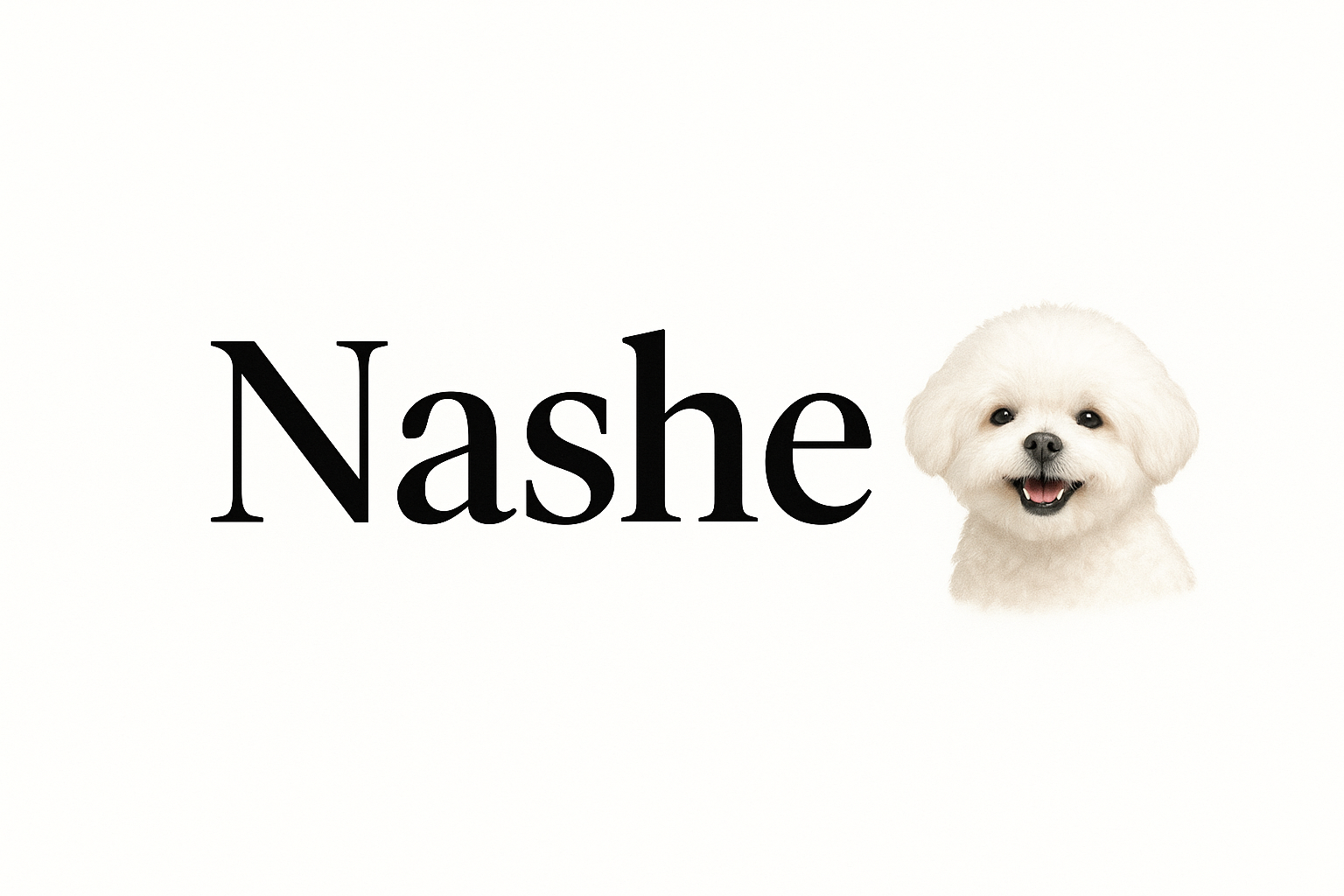 Nasheとは？思想と手仕事が融合する注目ブランド | 暮らしとセンスと、ましゅ。